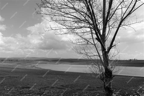 Premium Photo Global Warming And Drought Negative Effects Of Drought