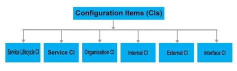Configuration Item CI CIO Wiki