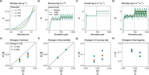 Model Simulations For Size‐dependent Mortality Showing A Different