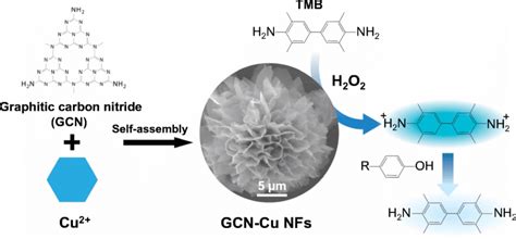 Colorimetric Determination Of Phenolic Compounds Using Peroxidase