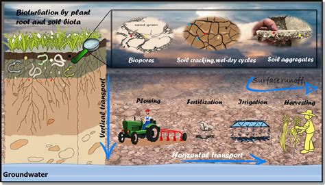 Microplastics Transport Processes In Soil Systems Download