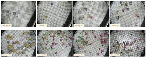 Examples Of Pest Monitoring Results Demonstration Download Scientific Diagram