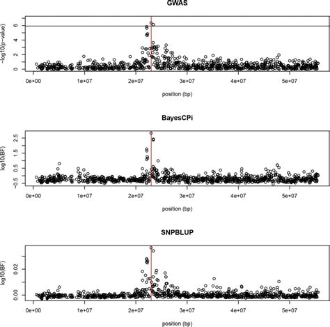 Gwas By Gblup Single And Multimarker Emmax And Bayes Factors With An Example In Detection Of A