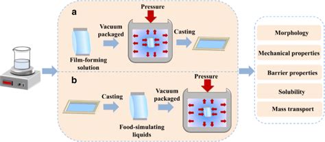 A Graphical Summary Of The Methodology Of Applying High Pressure