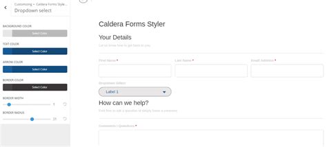 divi plugin highlight caldera forms style customizer for divi and