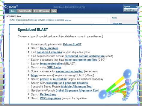 Introduction To Ncbi Pptx Databases Computer Software And