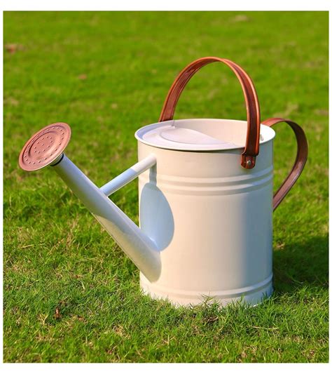 Watering Can For Outdoorandindoor Plants，1 Gallon Metal Plant Watering