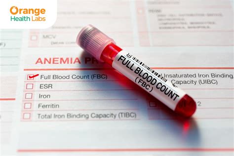 What Is The Difference Between CBC Tests And Other Blood Tests