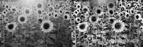 Opencv Algorithm：based On Python And C，限制对比度的自适应直方图均衡化clahe 知乎