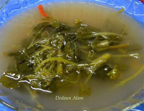 Dedaun Alam Jeruk Maman