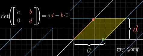 行列式背后的几何意义 知乎
