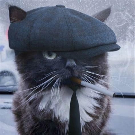 Micle Lyrics Songs And Albums Genius