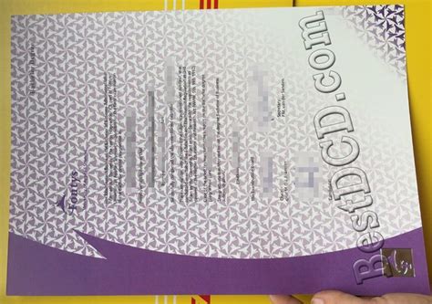 I Would Like To Order A Fontys University Of Applied Sciences Degree Bestdcd