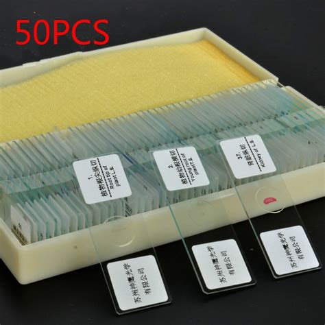 Biology 102550100200 Prepared Glass Microscope Vicedeal