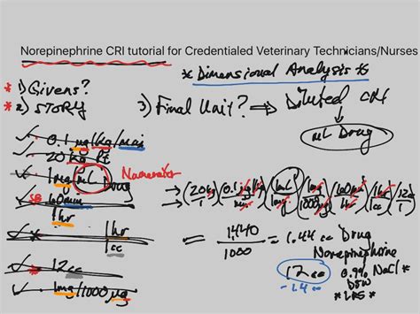 Norepinephrine Cri Example Calculation Veterinary Health Veterinary Calculations Veterinary