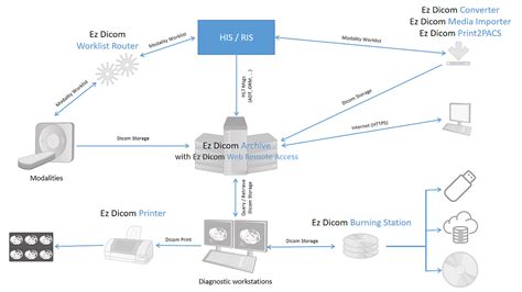 Dicom Storage Solutions Enhancing Medical Data Management By Charlotte F Mcgough Sep 2024