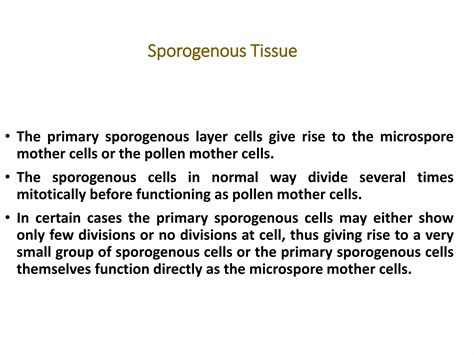 Microsporangium Pptx