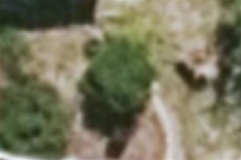 Digital Image Processing Whats The Difference Between Bicubic Interpolation And Cubic