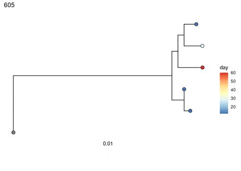 Single Cell Vdj Analysis Tutorial — Immcantation Devel 20250721