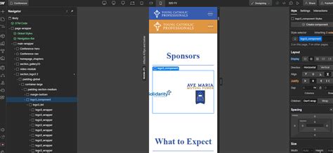 Animationimages Not Showing On Mobile Animations And Interactions Forum Webflow