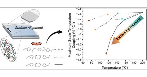Molecular Engineering Of Surface Aligned Supramolecular Liquid Crystalline Elastomers