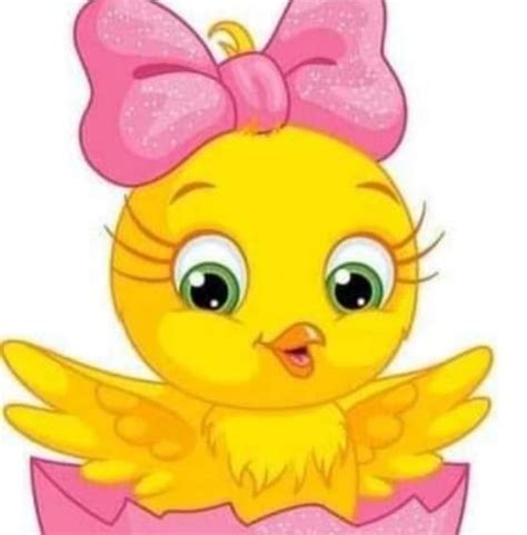 Дэгдээхэй Хүүхдийн дэлгүүр Дэгдээхэй Хүүхдийн дэлгүүр