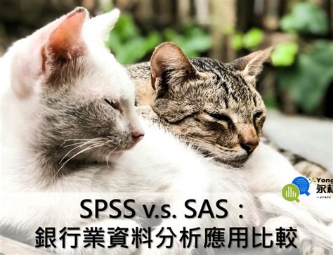 【spss交叉表 次數與百分比分析】 永析統計及論文諮詢顧問