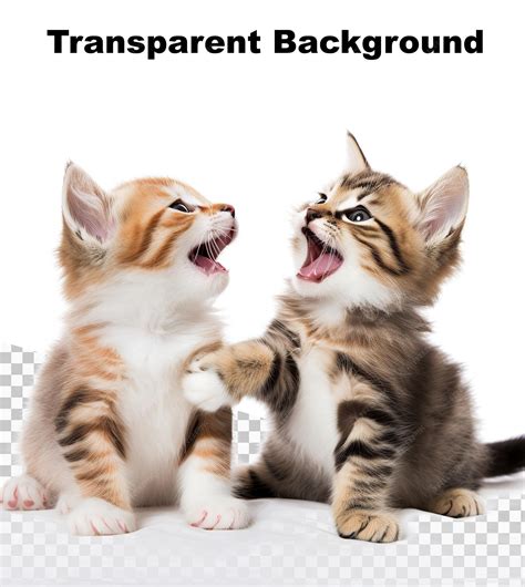 Premium Psd An Illustration Of Two Happy Cats Playing