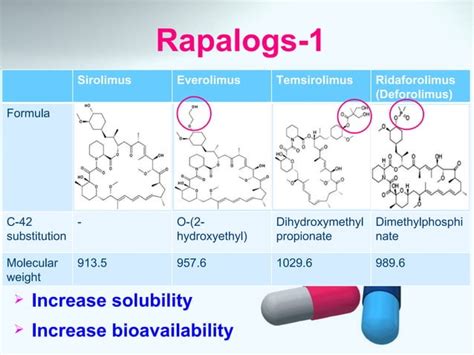 Mtor Inhibitor In Cancer Ppt