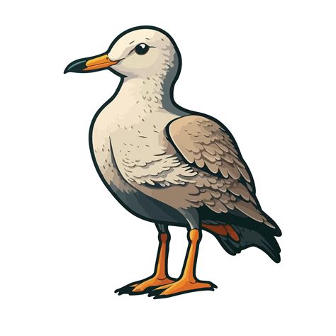 Cute Seagull Cartoon Style 21638384 Vector Art At Vecteezy