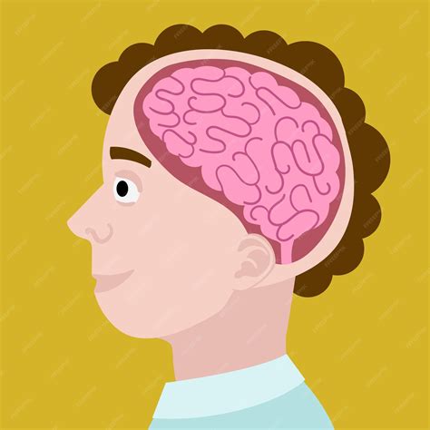 Cabeza Humana En La Ilustración De Vector De Dibujos Animados De