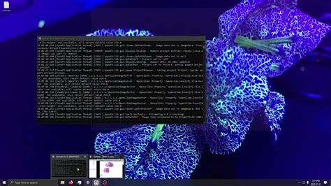 Mrxs File Opening Error On Qupath Usage Issues Image Sc Forum