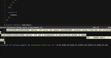 help malloc error pointer being freed was not allocated r neovim