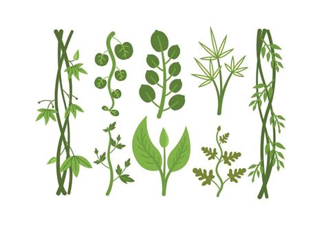 Plant Vector Art Icons And Graphics For Free Download