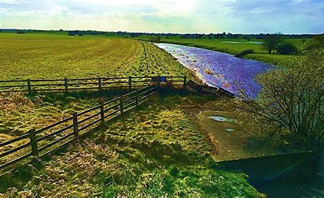 Riparian Buffer Zones Teagasc Agriculture And Food Development Authority
