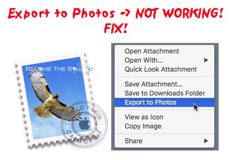 Fix Mac Mail Export To Photos Not Working