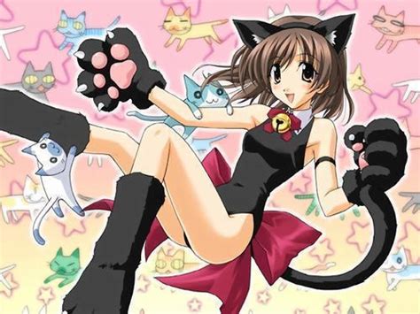 Whos This Anime Cat Girl Catgirls Answers Fanpop