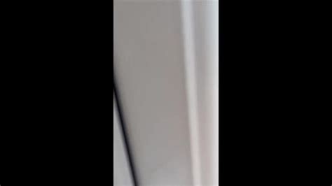 Glasgow Shed Is No Match For Storm Eowyn Nt News