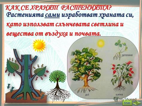 Презентация на тему Живите организми са Кликни върху картинката животните растенията и