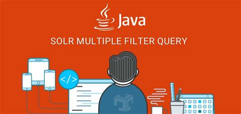 Solr Multiple Filter Query Java Developer Zone