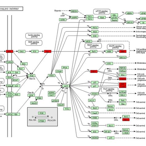 grid box parameters used for molecular docking download scientific
