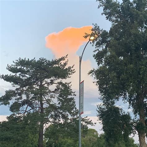 Lemor Abrams Lemorabrams Twitter