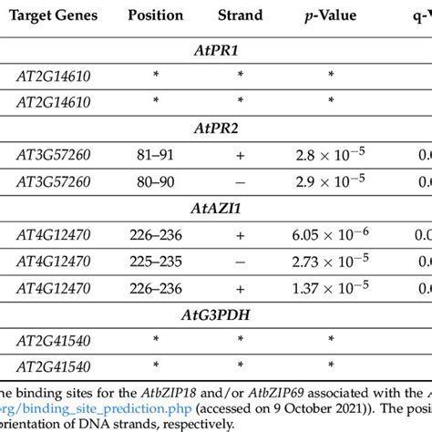 Identified Transcription Factor Binding Sites In The Promoter Of Target Download Scientific