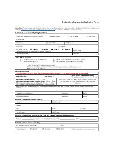 11 Employment Authorization Form Examples To Download