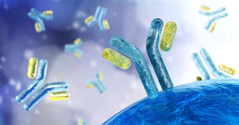 Pbmc Proliferation Assay Cyprotex Adme Tox Solutions Evotec