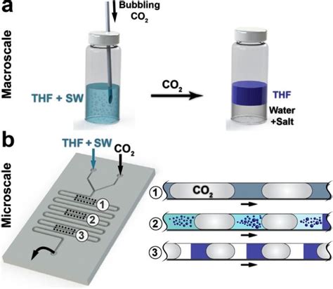 Switchable Water For Purification And Desalination