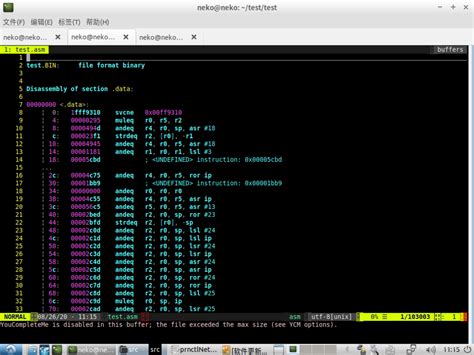 Bin文件的反汇编记录 Nekocc 博客园 Bin文件的反汇编记录 Nekocc 博客园