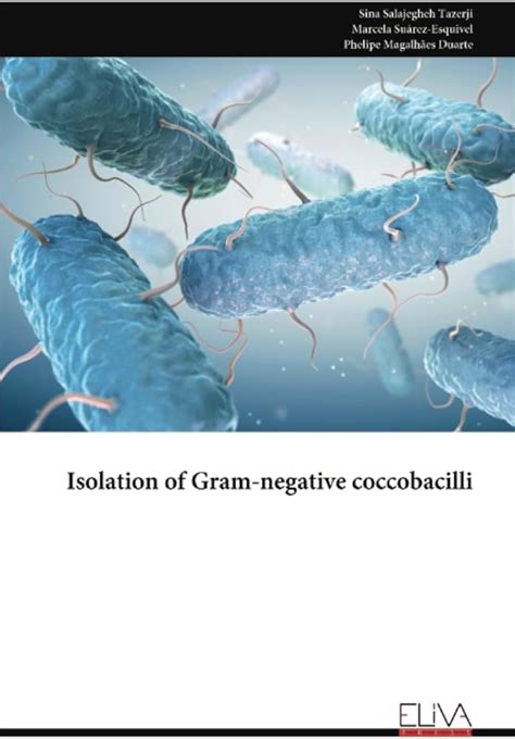 Gram Negative Coccobacilli