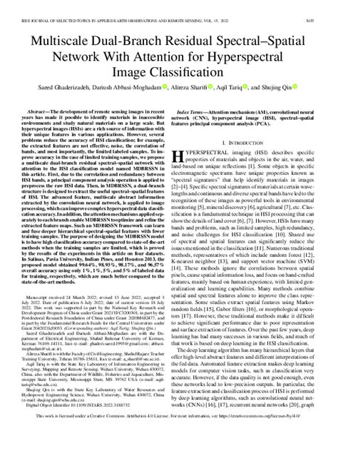 pdf multiscale dual branch residual spectral spatial network with
