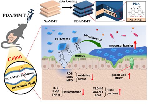 Figure 1 From Polydopamine Cladded Montmorillonite Micro Sheets As